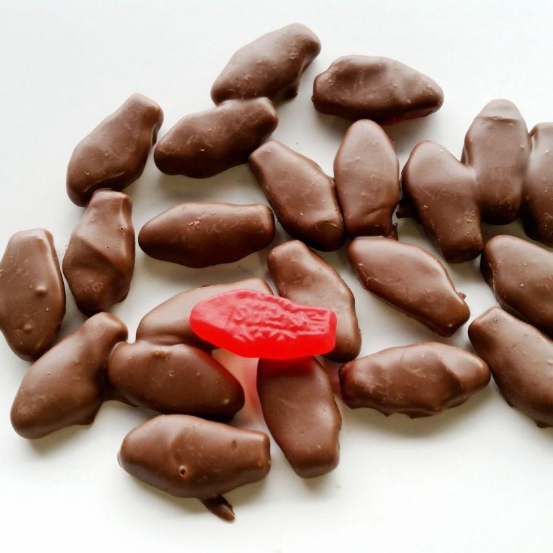 NUT FREE Chocolate Covered Swedish Fish – Sweet Expressions